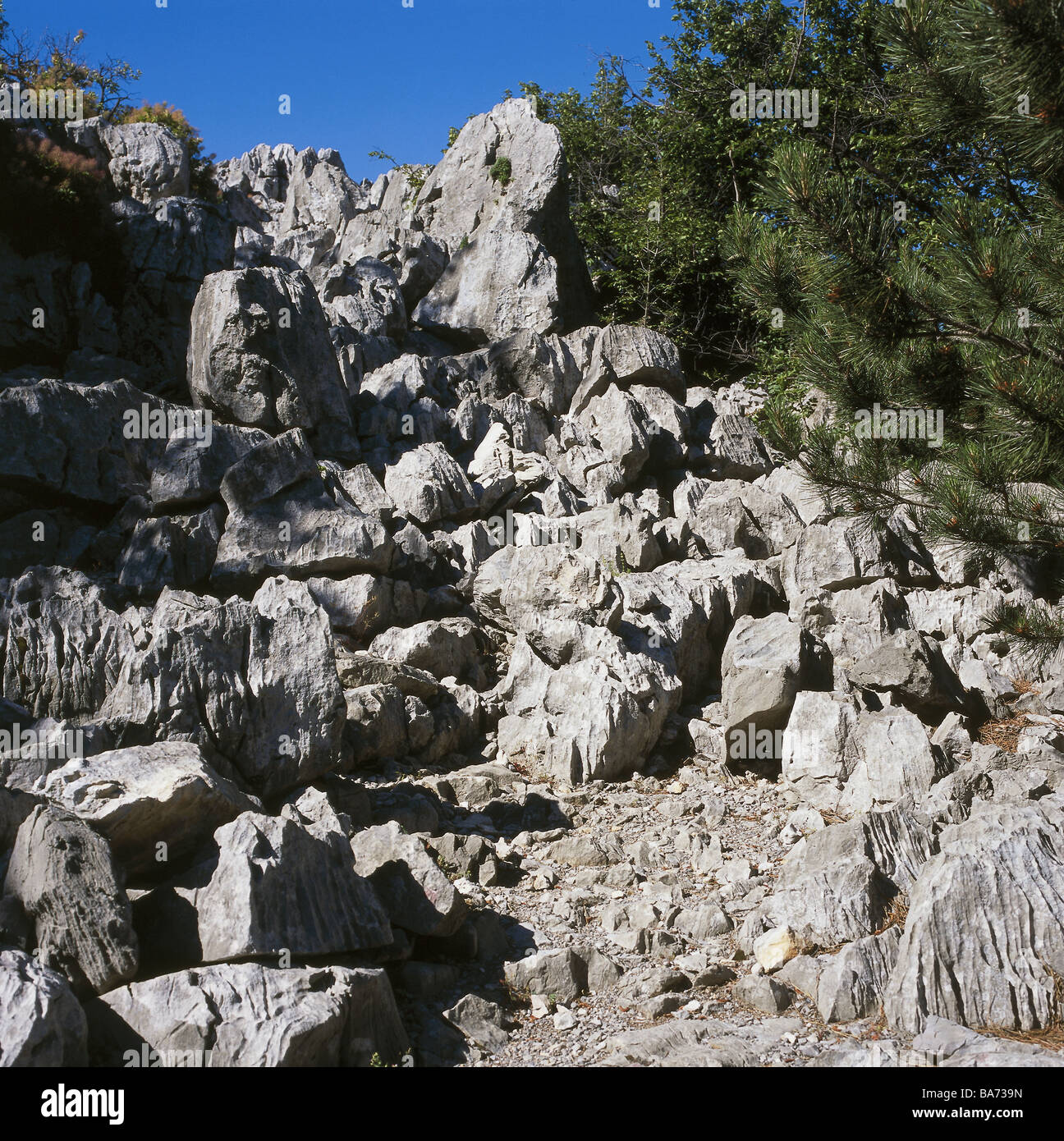 Terrano weinstrasse hi-res stock photography and images - Alamy