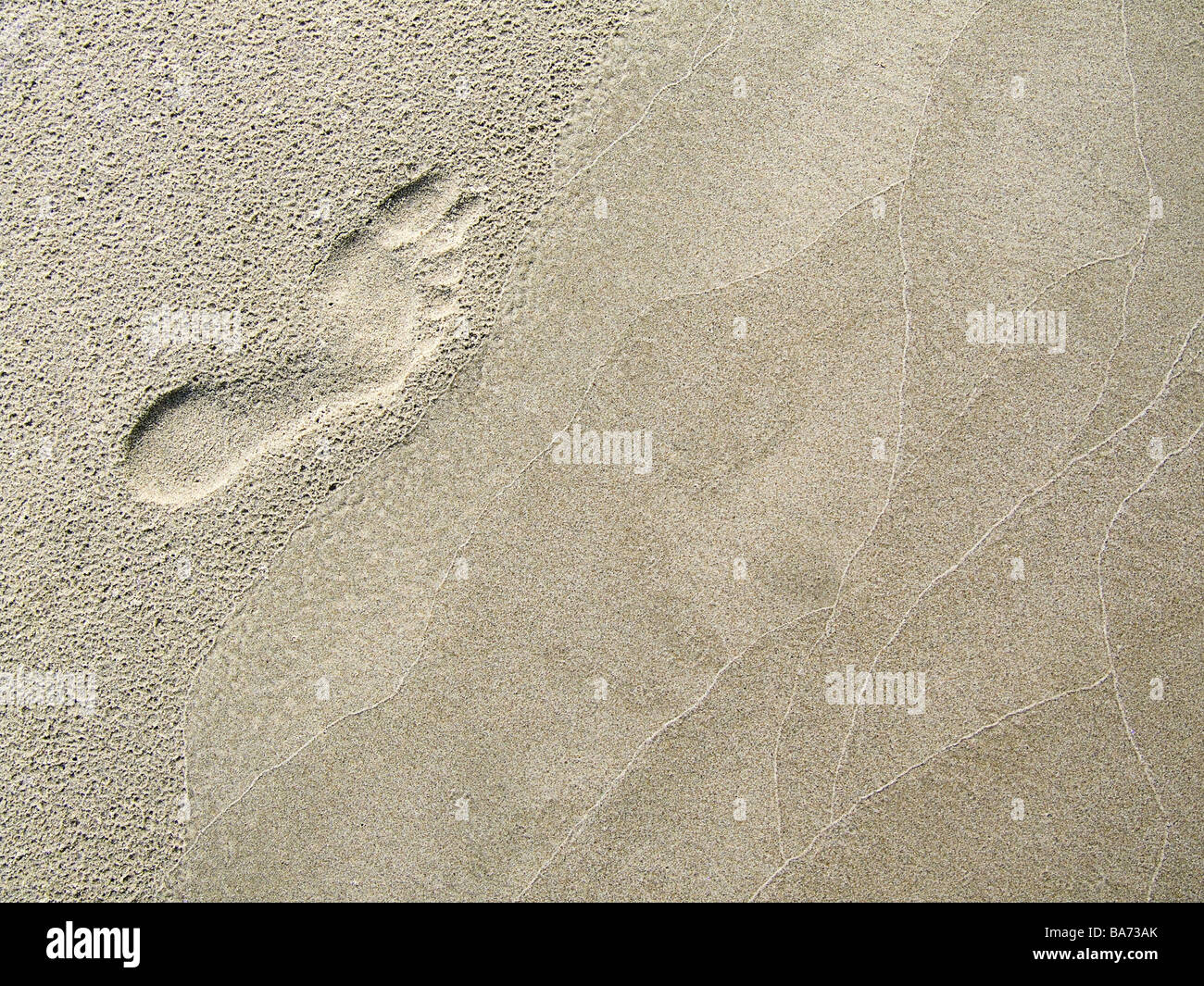 Sand footprint beach sandy beach wet moist patterns structure mark foot ...