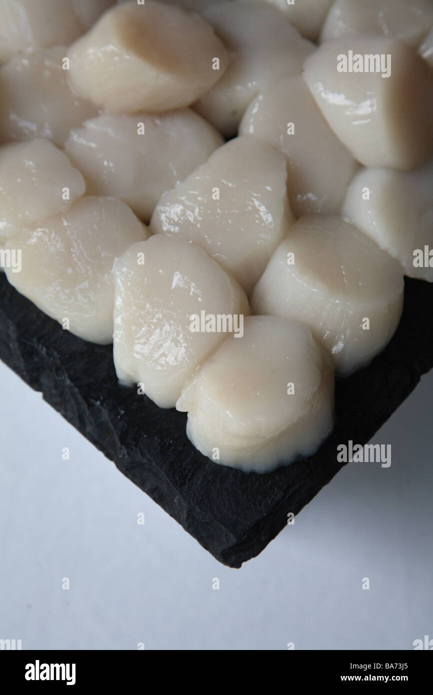 Scallops on a plate of black slate Stock Photo - Alamy