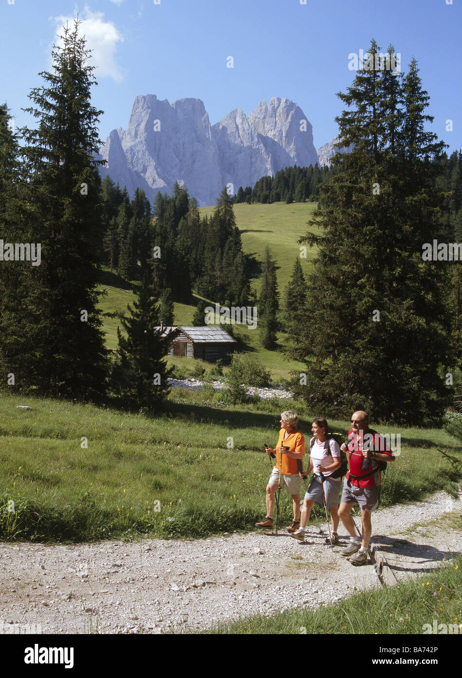 Alps rose rescues mountain hut highland-shaft mountain-forest mountain ...