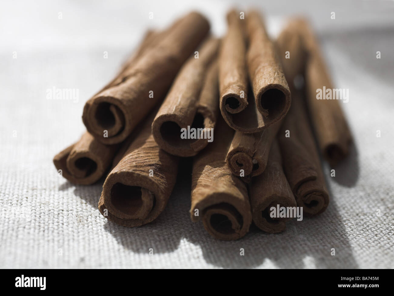 Cinnamon-poles Cinnamomum cinnamon dried cinnamon-barks bark-piece pole ...