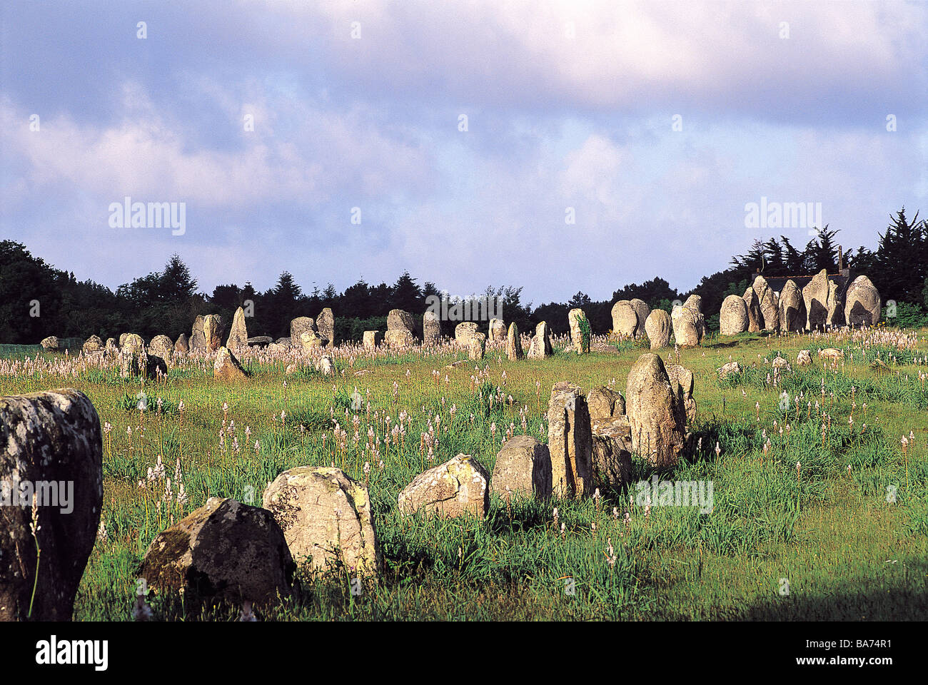 France, Morbihan, megalithic site Stock Photo - Alamy