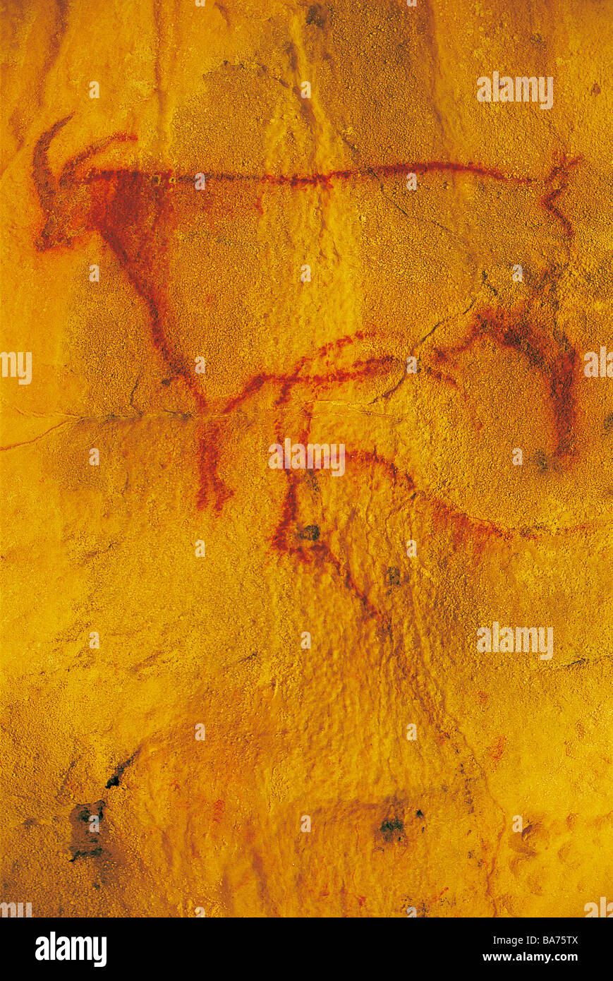 14000 hi-res stock photography and images - Alamy