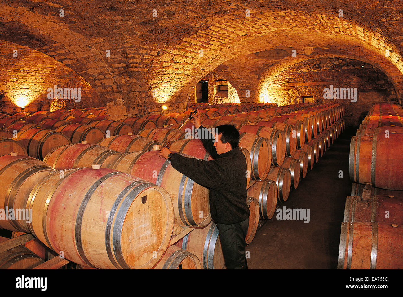 France, Lot, Saint Didier Parnac Castle, the caves, Cahors wines Stock ...