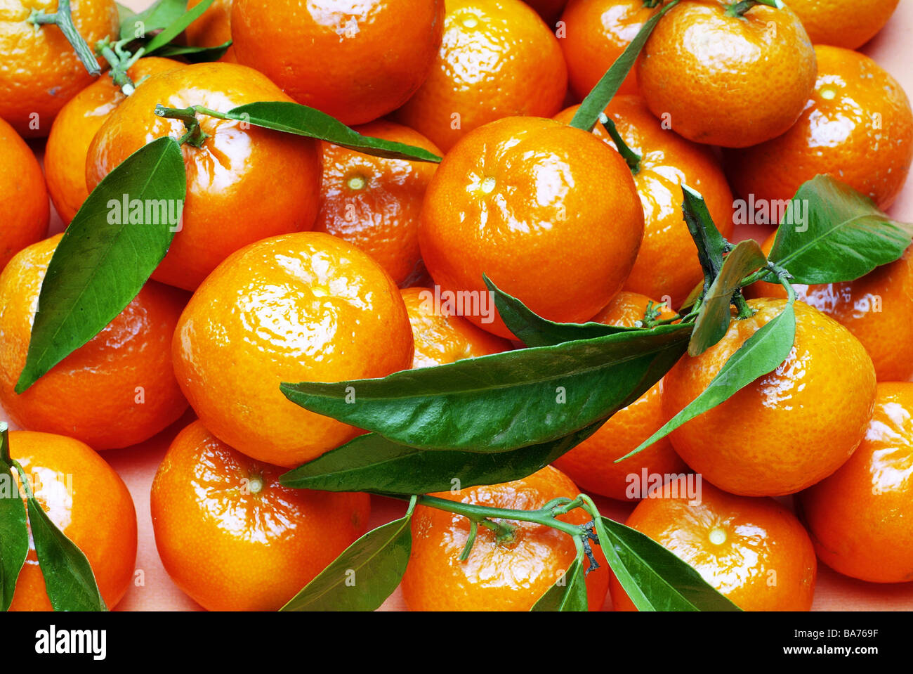 Agrumen High Resolution Stock Photography and Images - Alamy