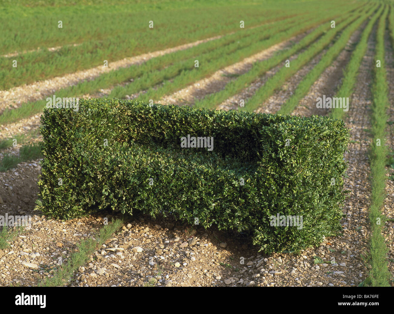 Field "bench" of book form-cut art field rows grooves furrows ...