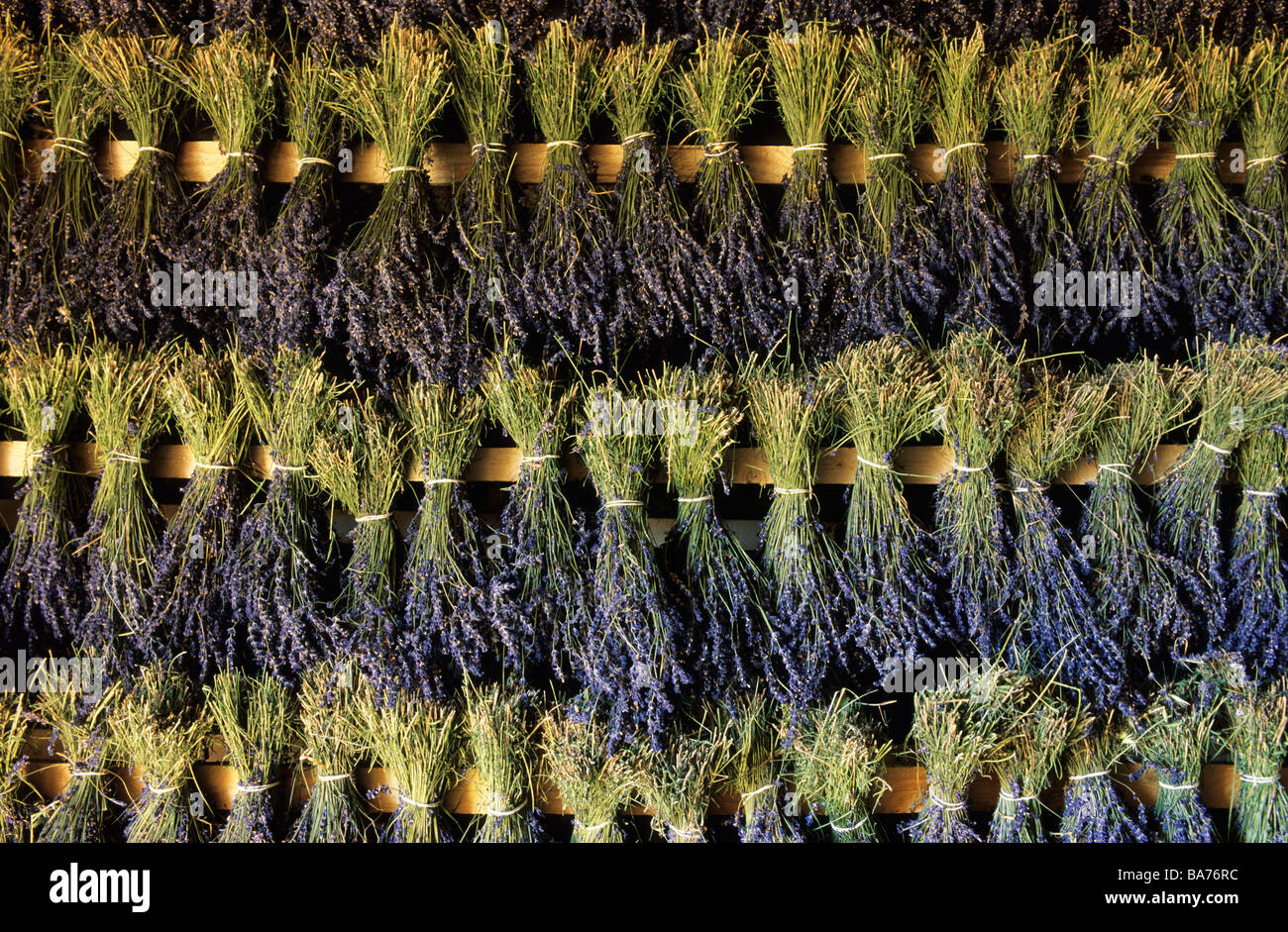 Gabelle france hi-res stock photography and images - Alamy