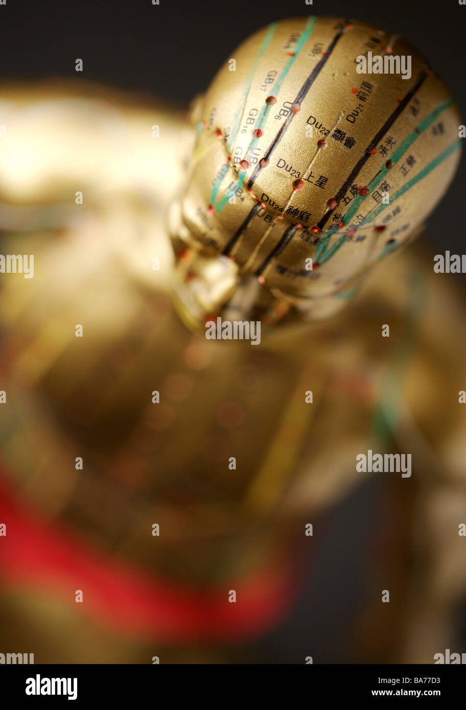 Model of human with acupuncture points Stock Photo - Alamy
