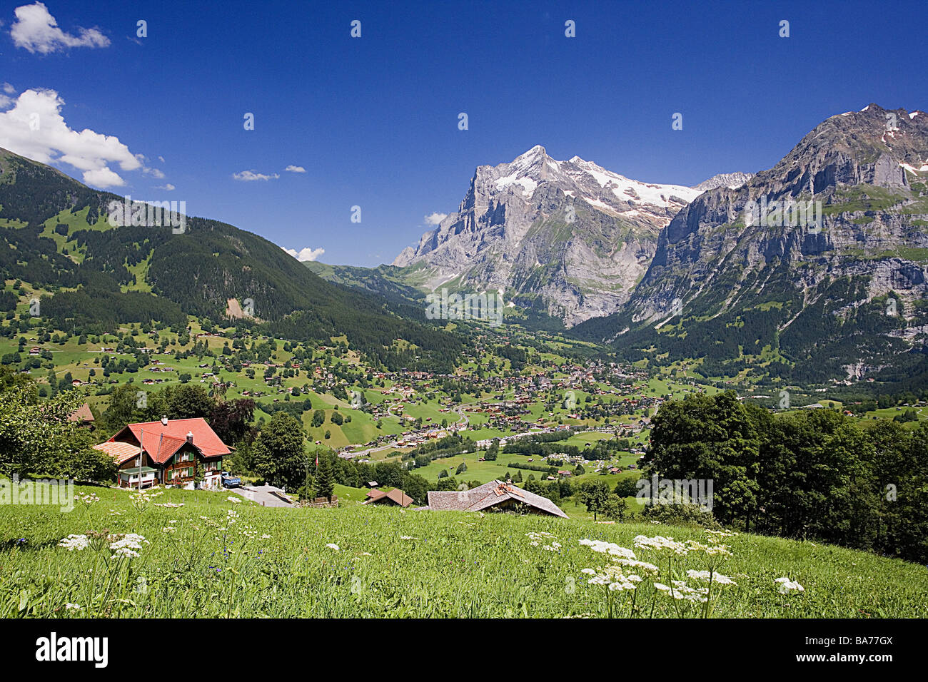 Switzerland Berner waiter-country Grindelwald highland-shaft place ...