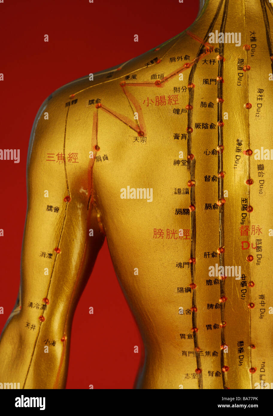Acupuncture model of human hi-res stock photography and images - Alamy