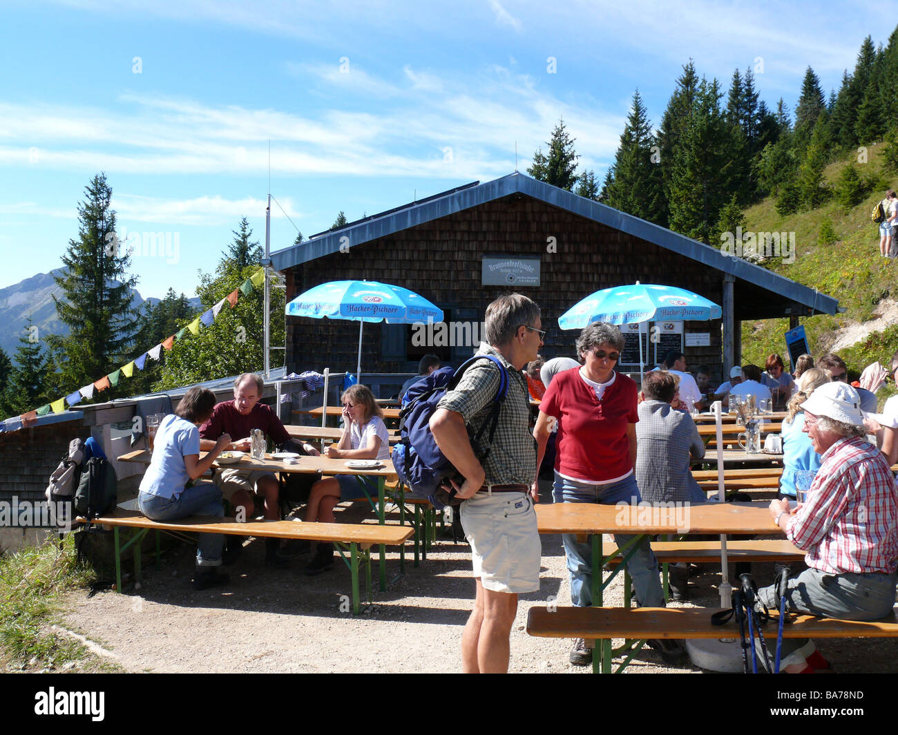 Ammergauer alps alm hi-res stock photography and images - Alamy