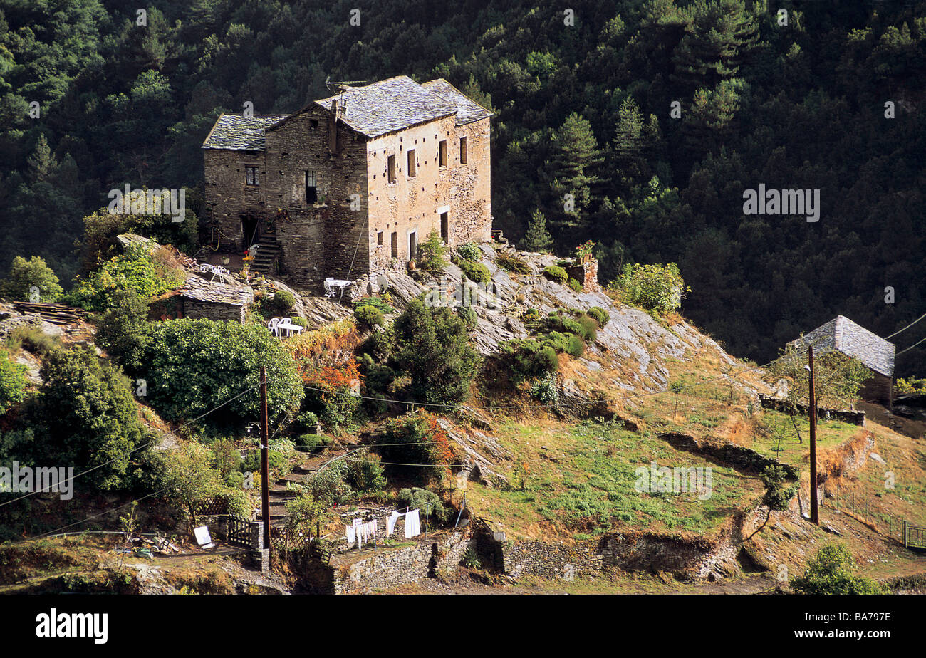 France, Haute Corse, Castagniccia, Morosaglia Stock Photo - Alamy