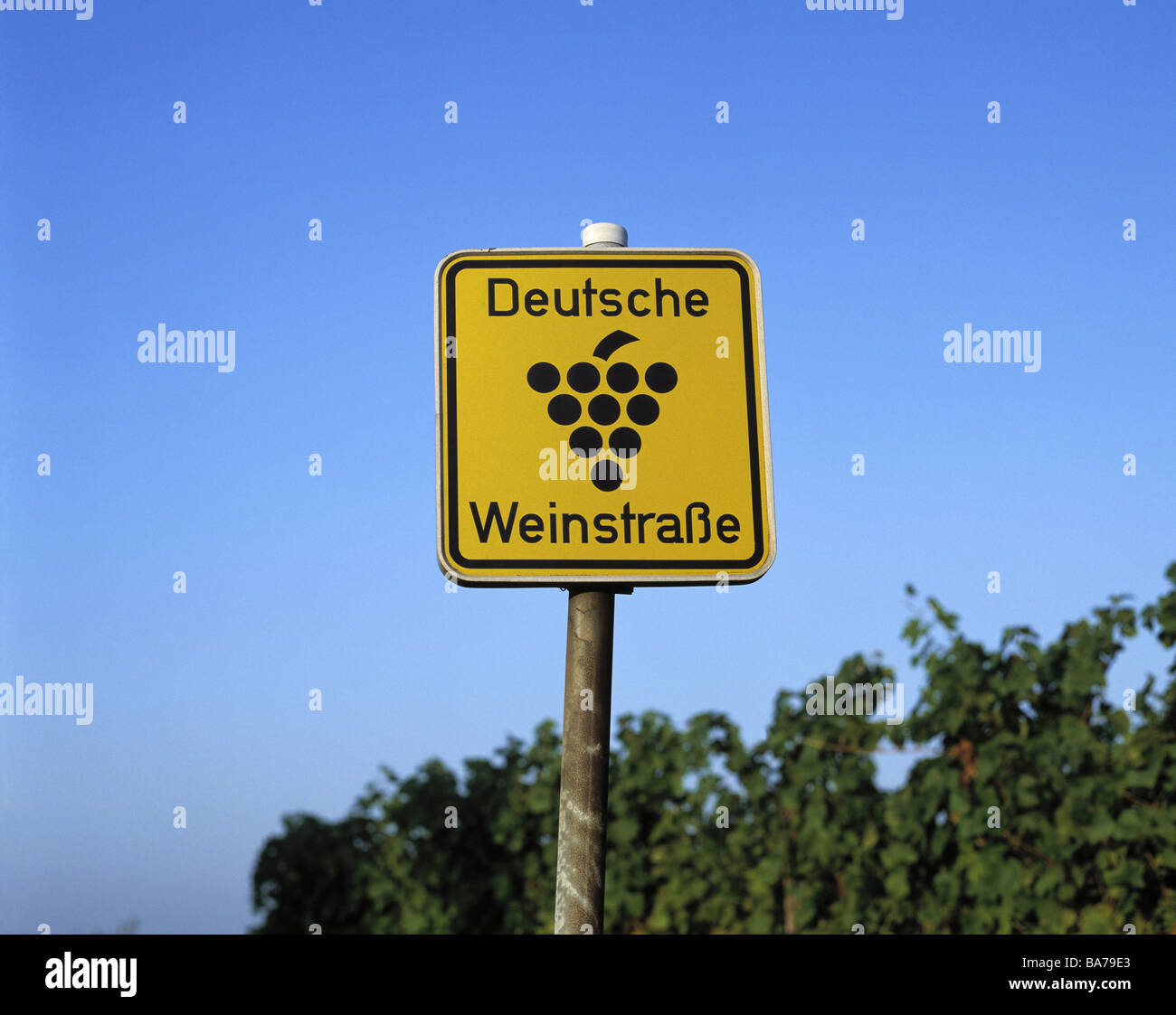 Roadside sign "German wine-street" street sign hint information wine ...