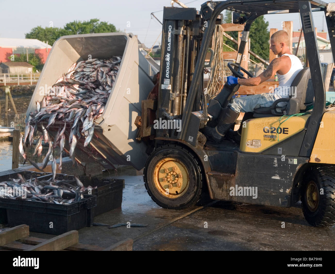 Worker in a commercial fishing dock Stock Photo - Alamy