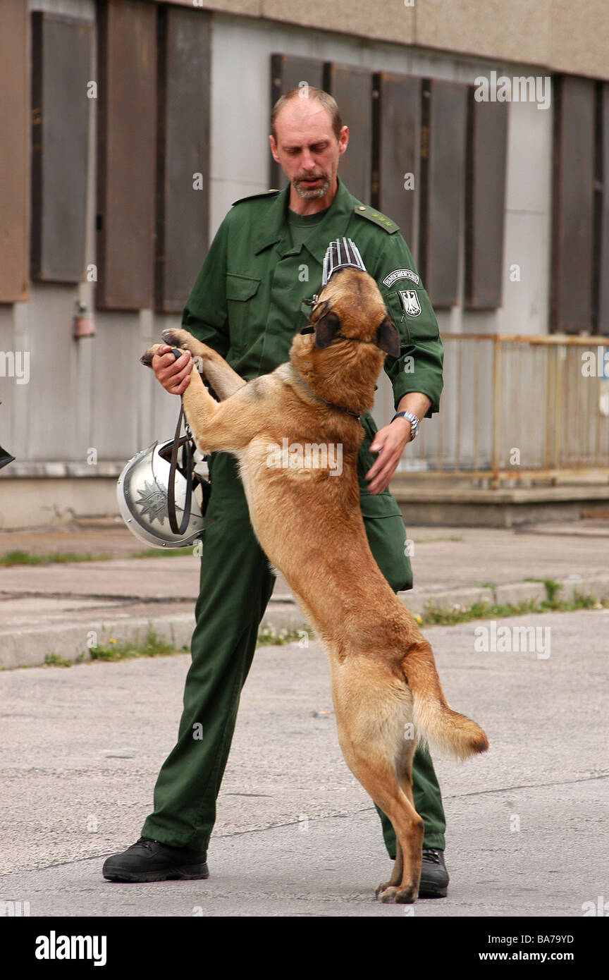 Training dog with symbol hi-res stock photography and images - Alamy