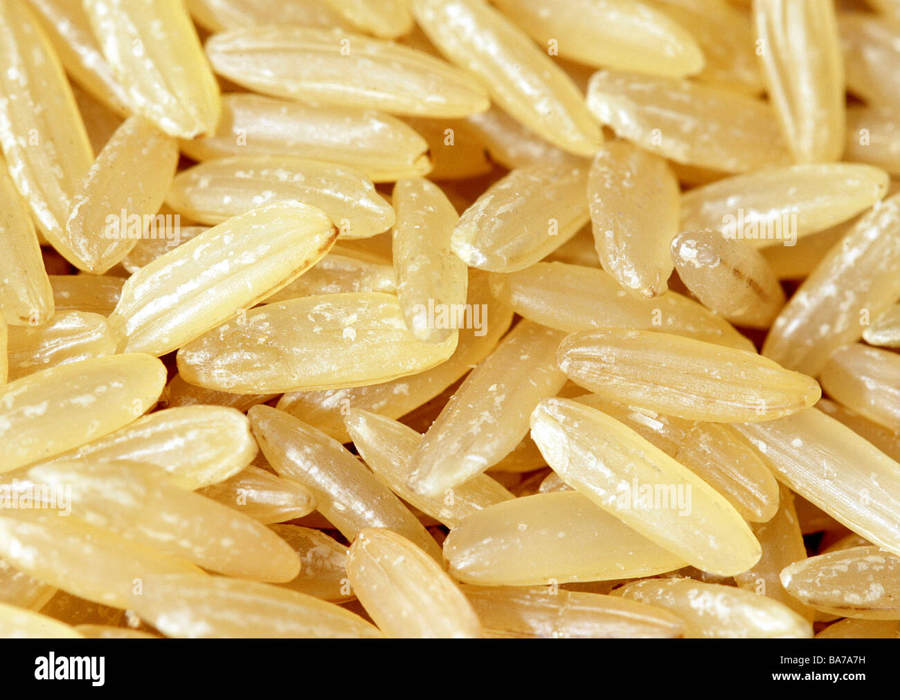 Rice-grains unpeeled rice grains grains multiplicity symbol reason-food ...