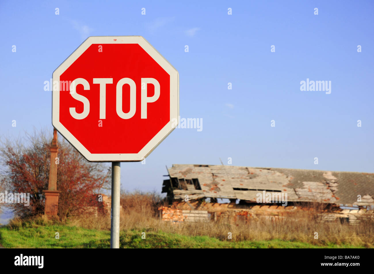 Stop sign in front of an old wrecked cow barn Stock Photo - Alamy