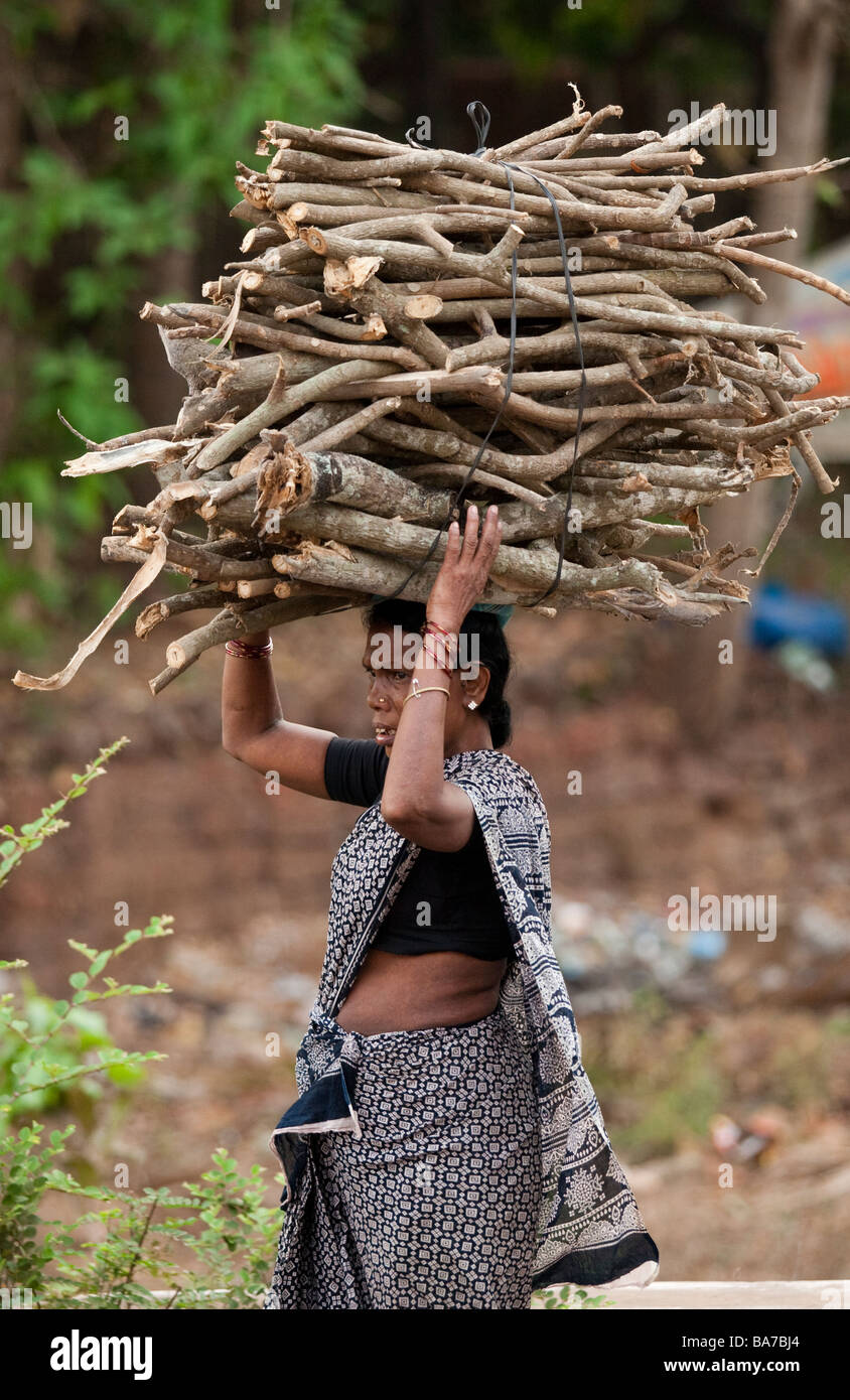 A Goan woman carrying her firewood home at Siolim India Stock Photo - Alamy