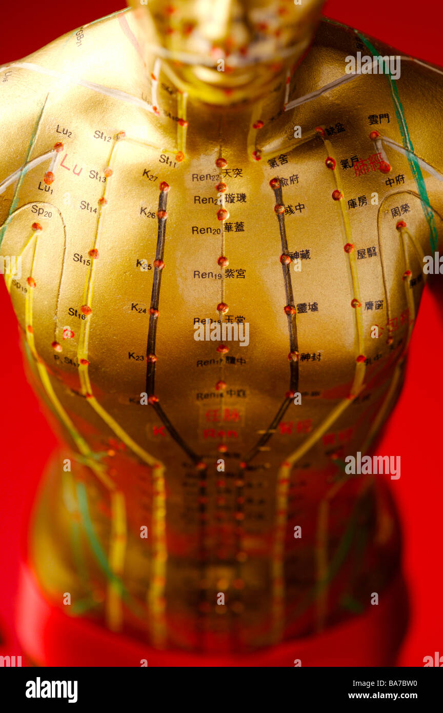 Acupuncture meridians hi-res stock photography and images - Alamy
