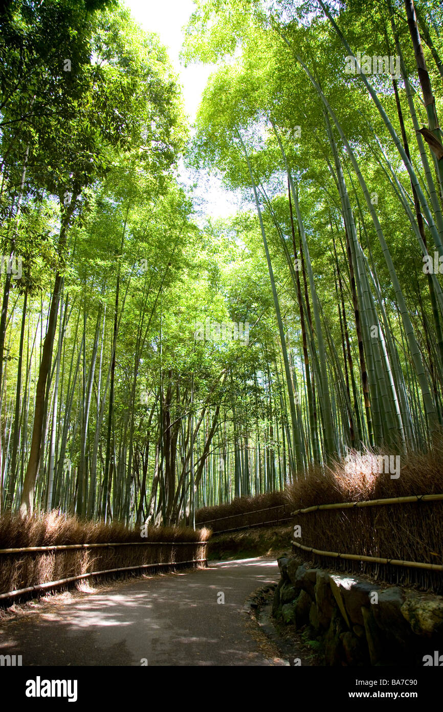 Bordered image hi-res stock photography and images - Alamy