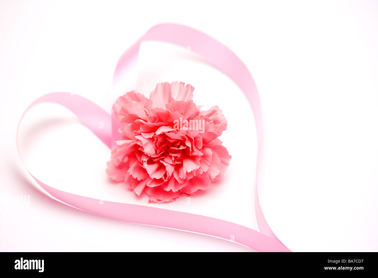 Heart shaped ribbon with flower Stock Photo - Alamy