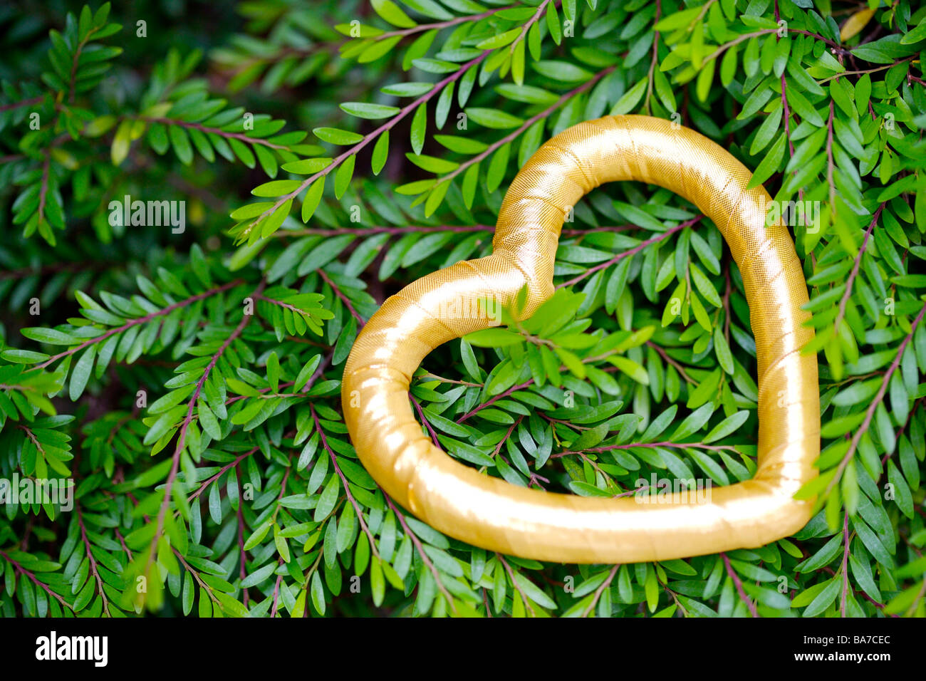 Heart shaped object on leaves Stock Photo - Alamy