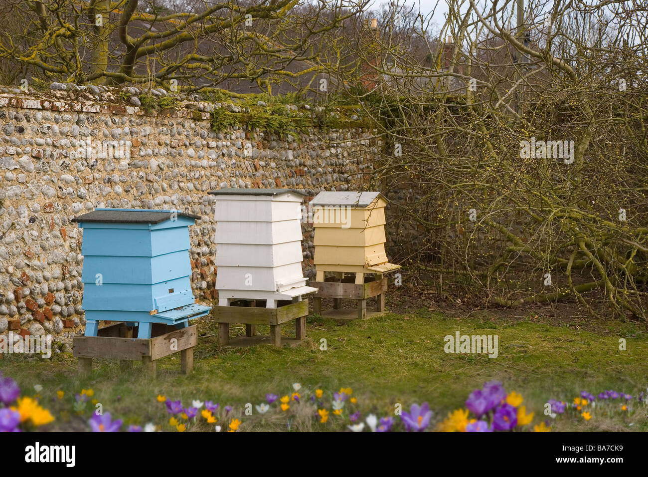 Bee Hives Traditional Stock Photos & Bee Hives Traditional Stock Images ...