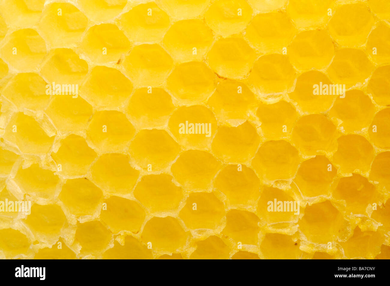 Honeycomb full frame Stock Photo - Alamy