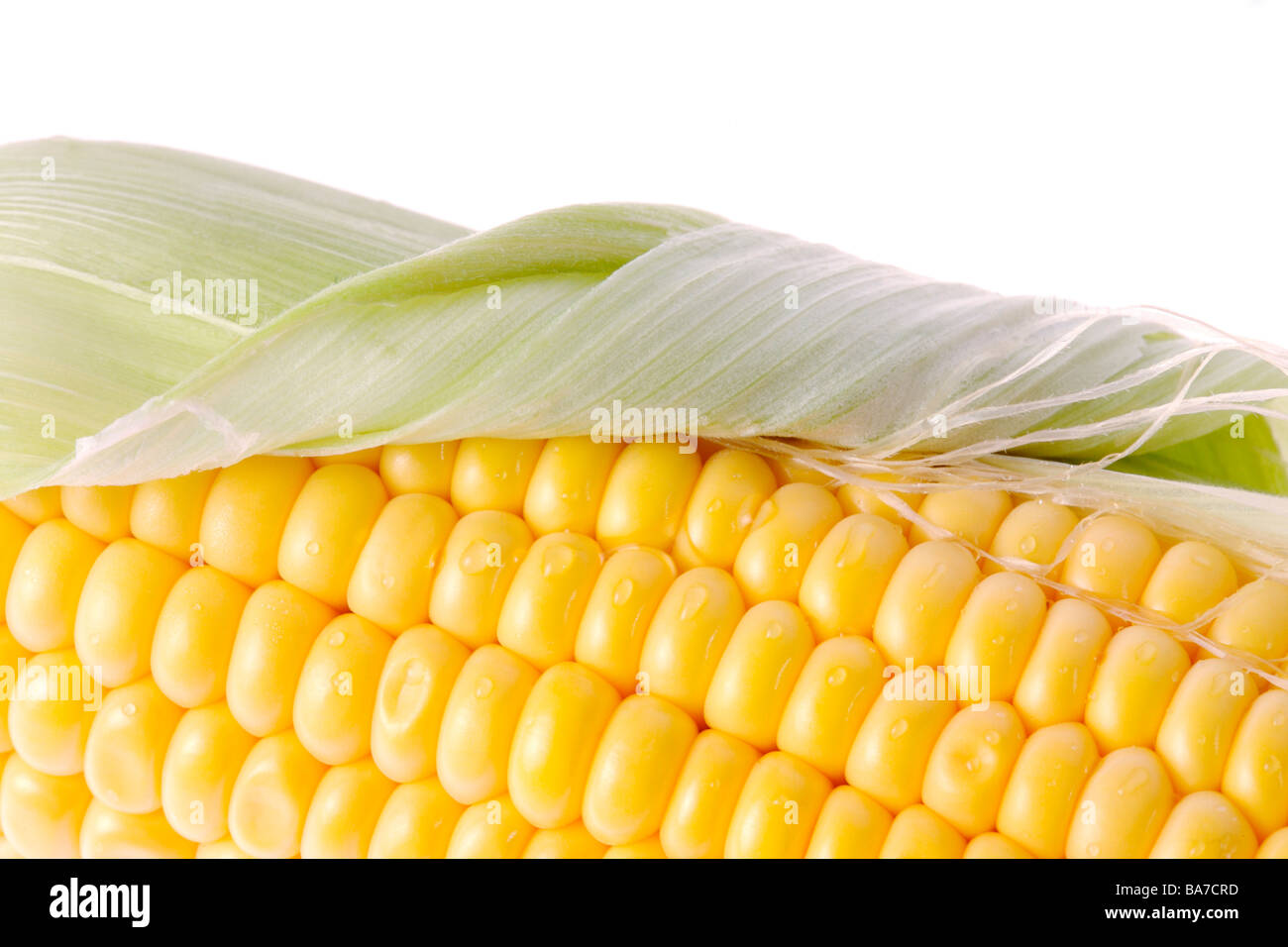 Sweetcorn close up Stock Photo - Alamy