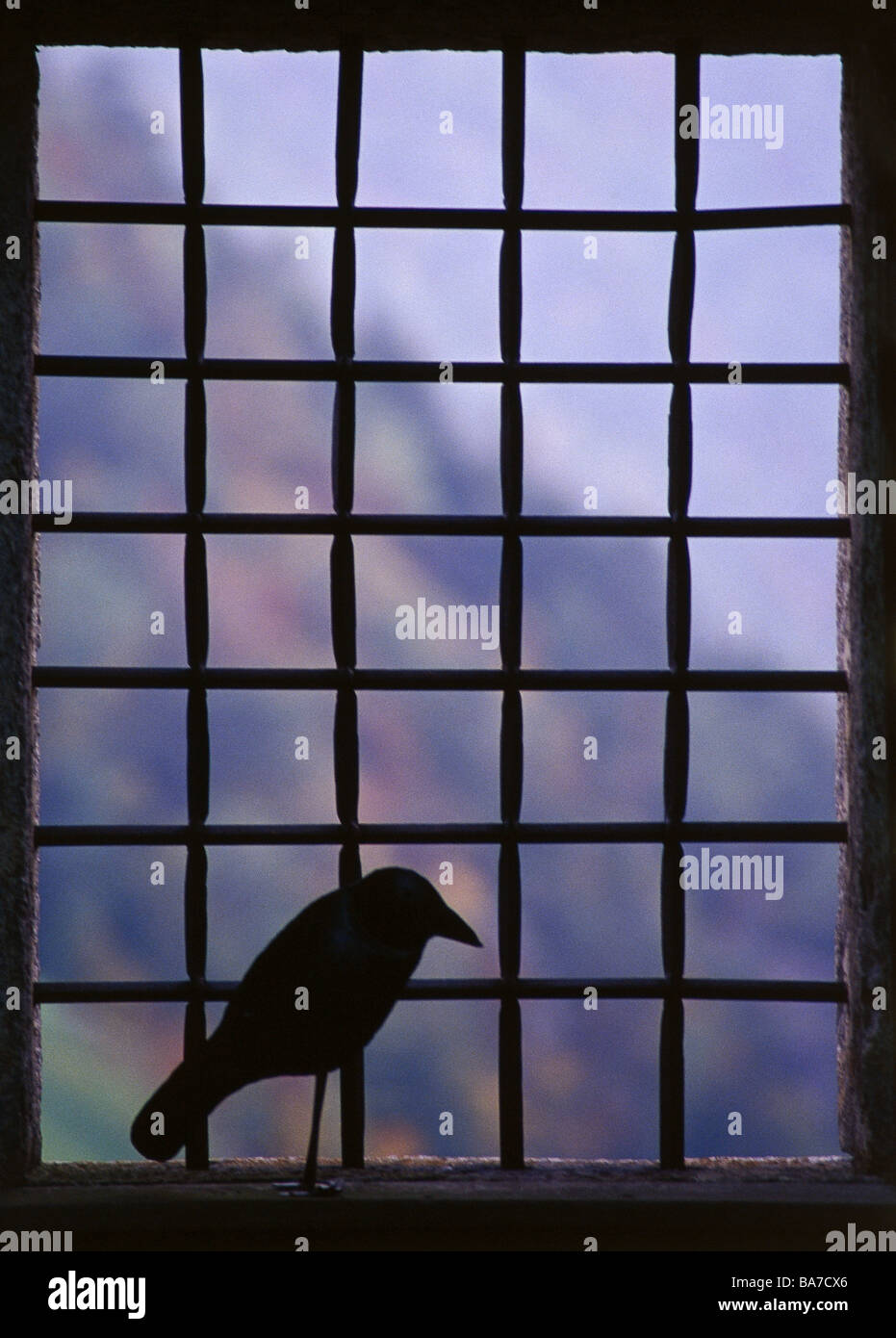 Windows puts bars on figure raven buildings fences grilles bars animal ...