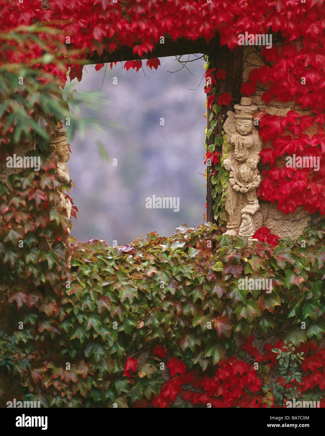 Facade grows over detail windows figures autumn sight wall buildings ...