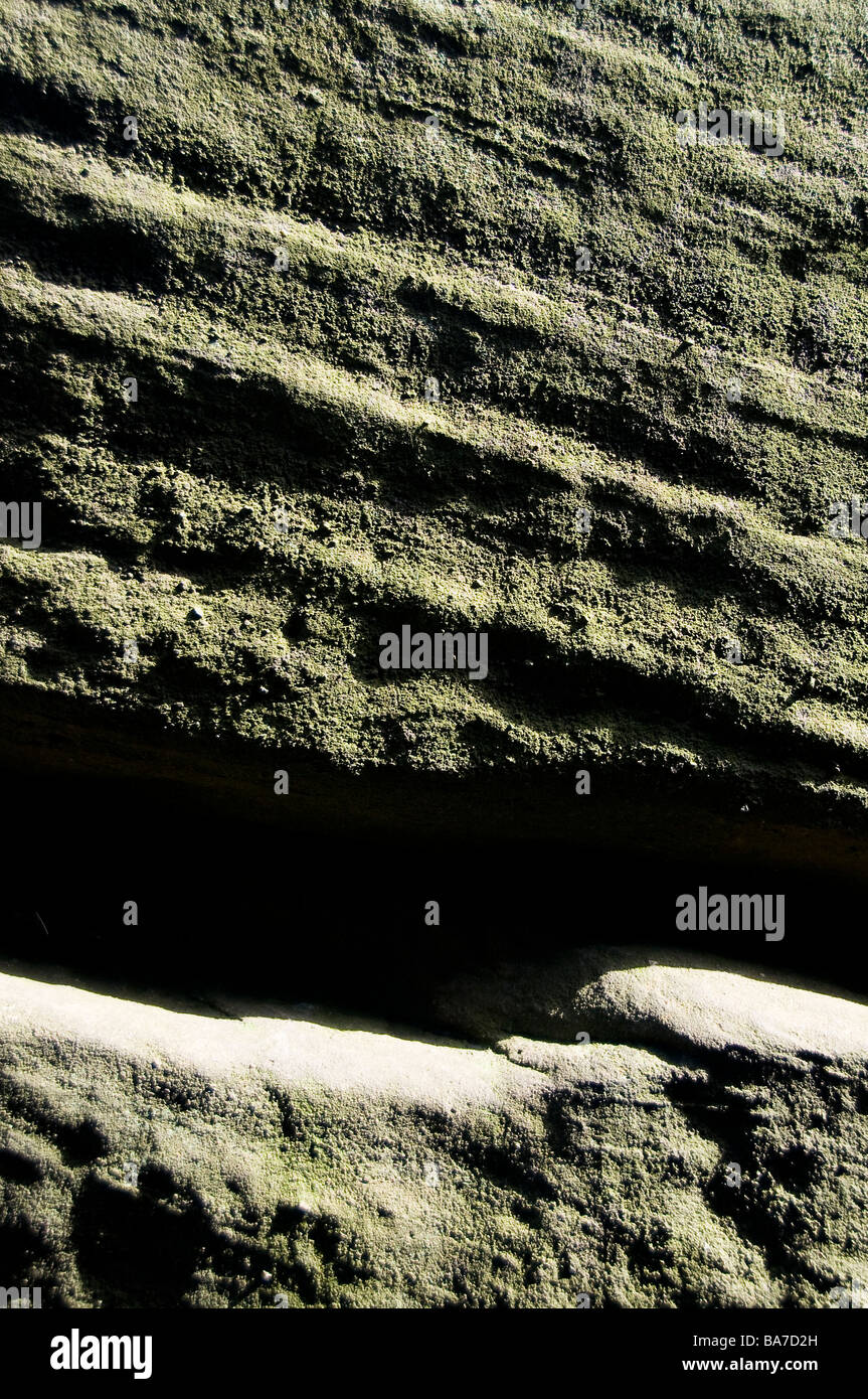 The rock formations of Brimham Rocks North Yorkshire England Stock ...