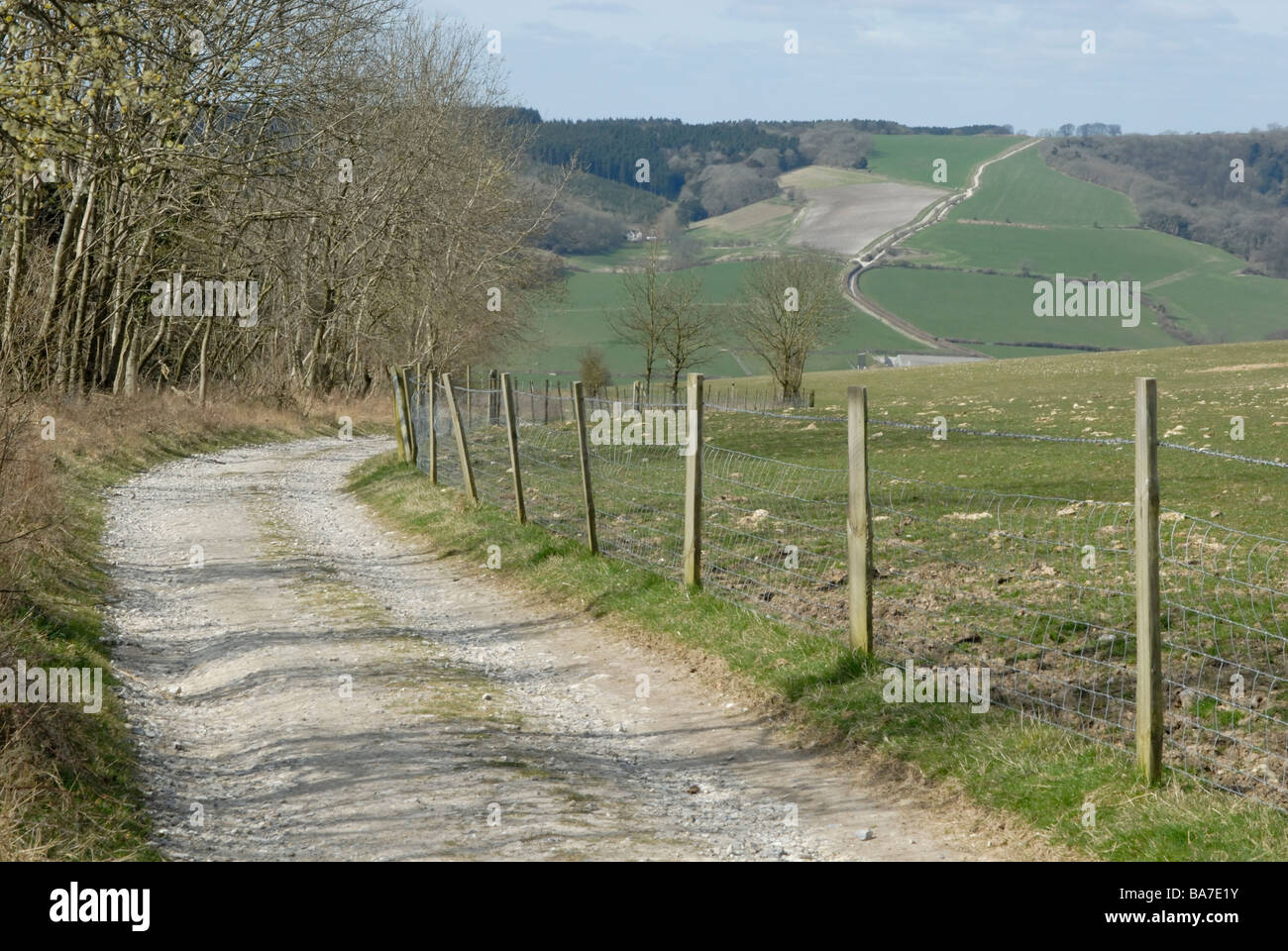 The South Downs Way long distance footpath follows this chalky track ...