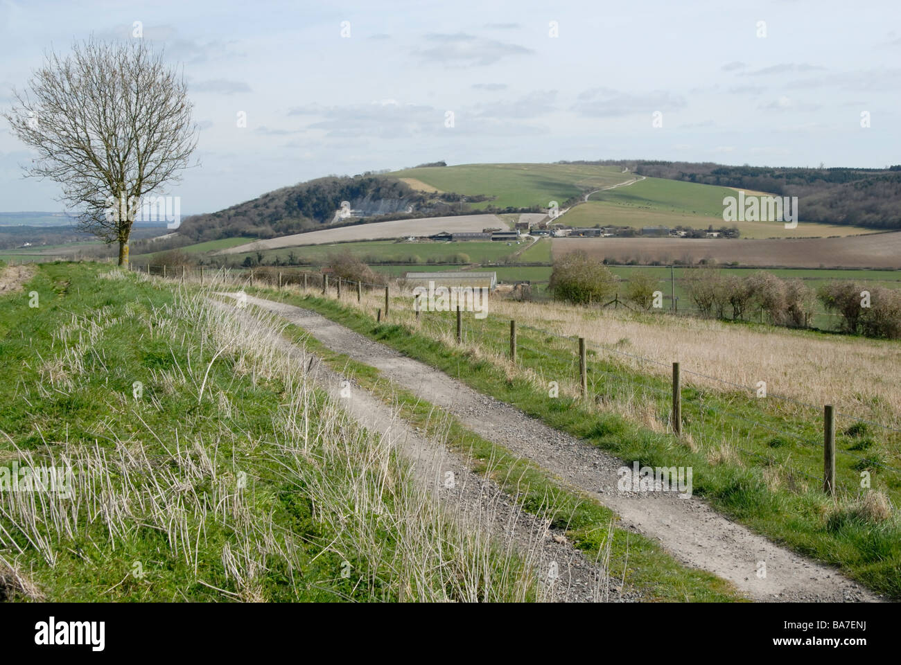 Farm access track with view across exposed and windblown country of ...