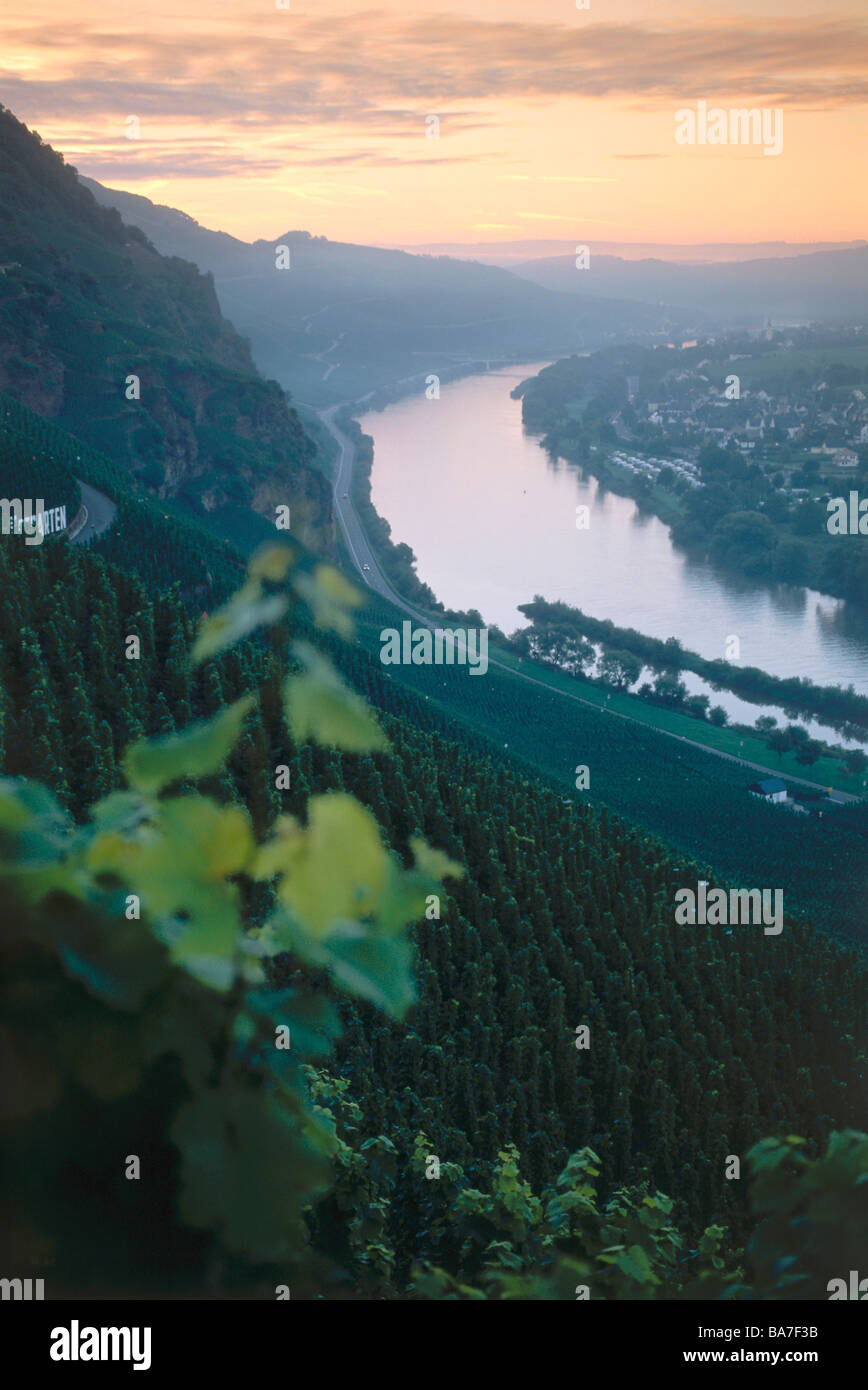 Wurzgarten vineyard hi-res stock photography and images - Alamy