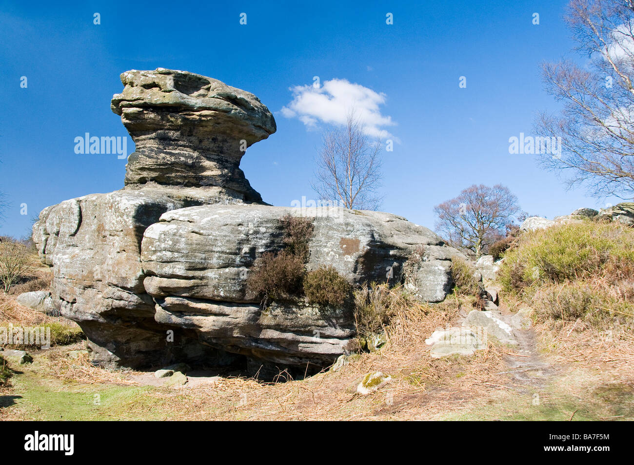 The rock formations of Brimham Rocks North Yorkshire England Stock ...