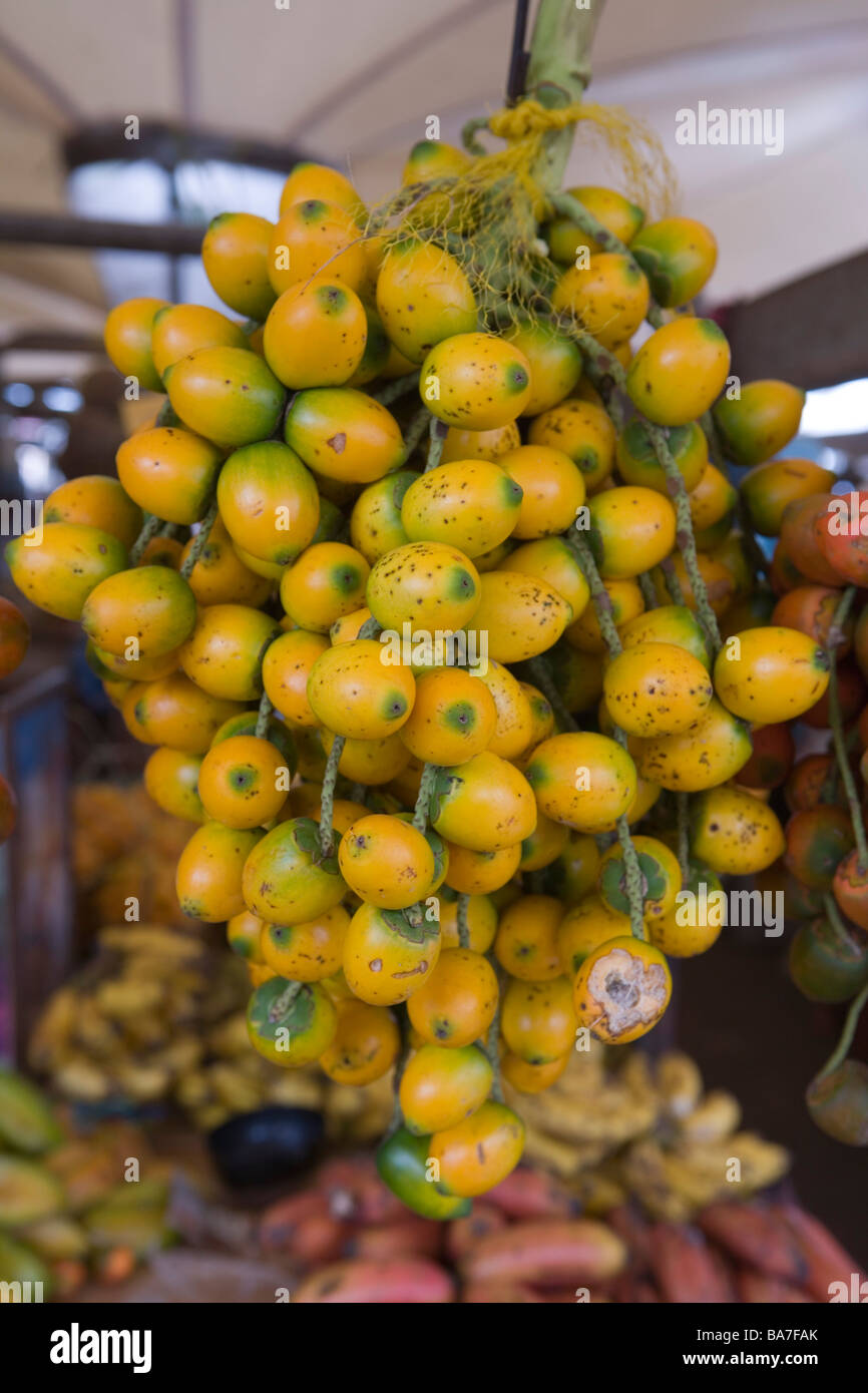 Pupunha Palm Fruit at the Ver O Peso Market, Belem, Para, Brazil, South ...