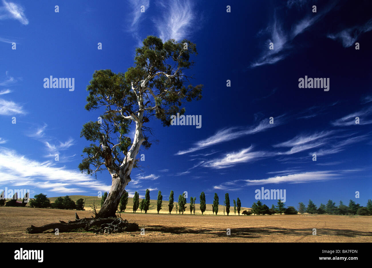 Cooma hi-res stock photography and images - Alamy