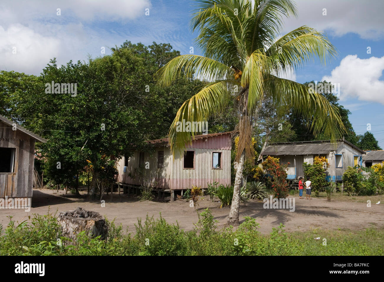 Amazon village in teh Amazon Rainforest, Boca da Valeria, Amazonas ...