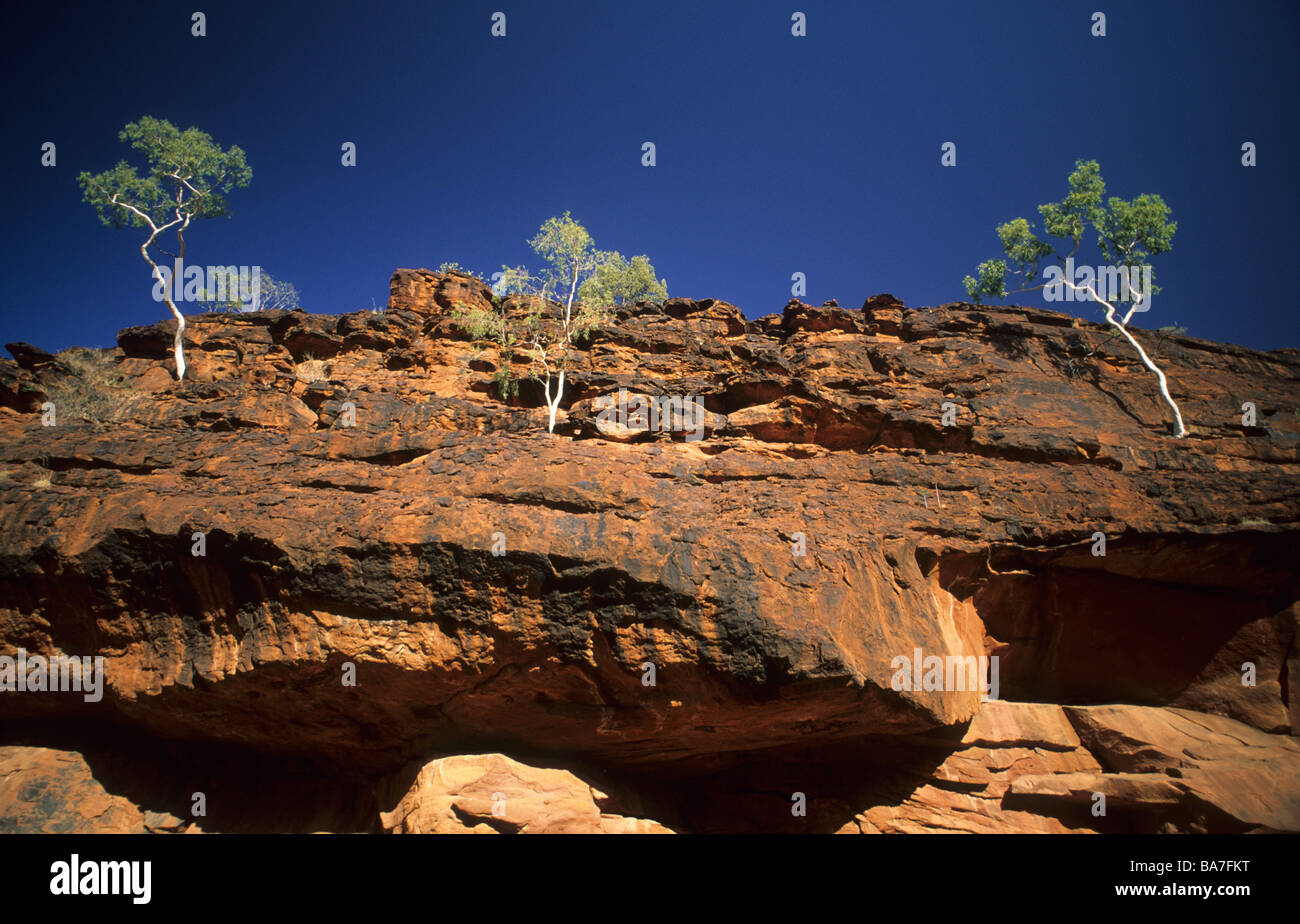 Sandstone formation with ghost gums in Finke Gorge National Park, Finke ...
