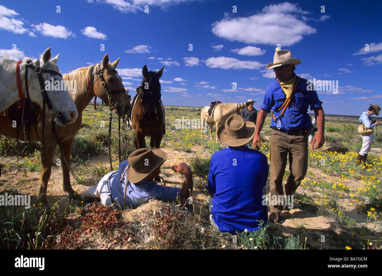 Cowboy on a cattle drive hi-res stock photography and images - Alamy