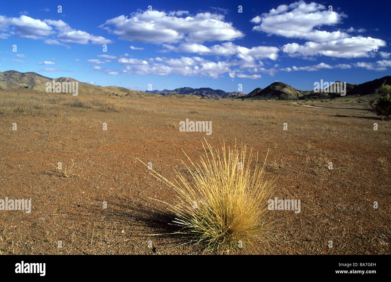 Glass Landscape High Resolution Stock Photography and Images - Alamy