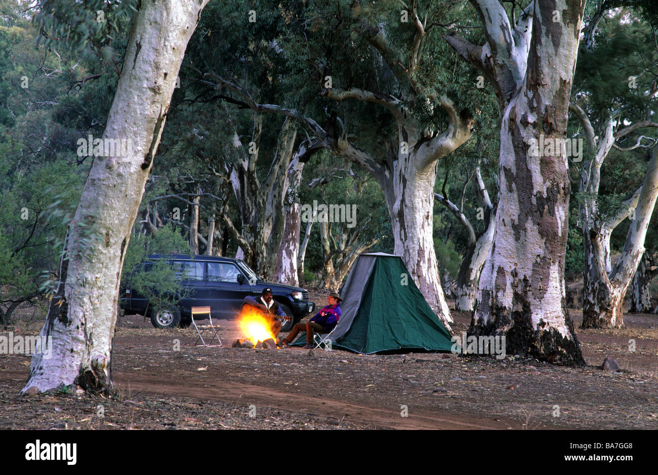 Camp under red river gums in Aroona Valley, Flinders Ranges, South ...