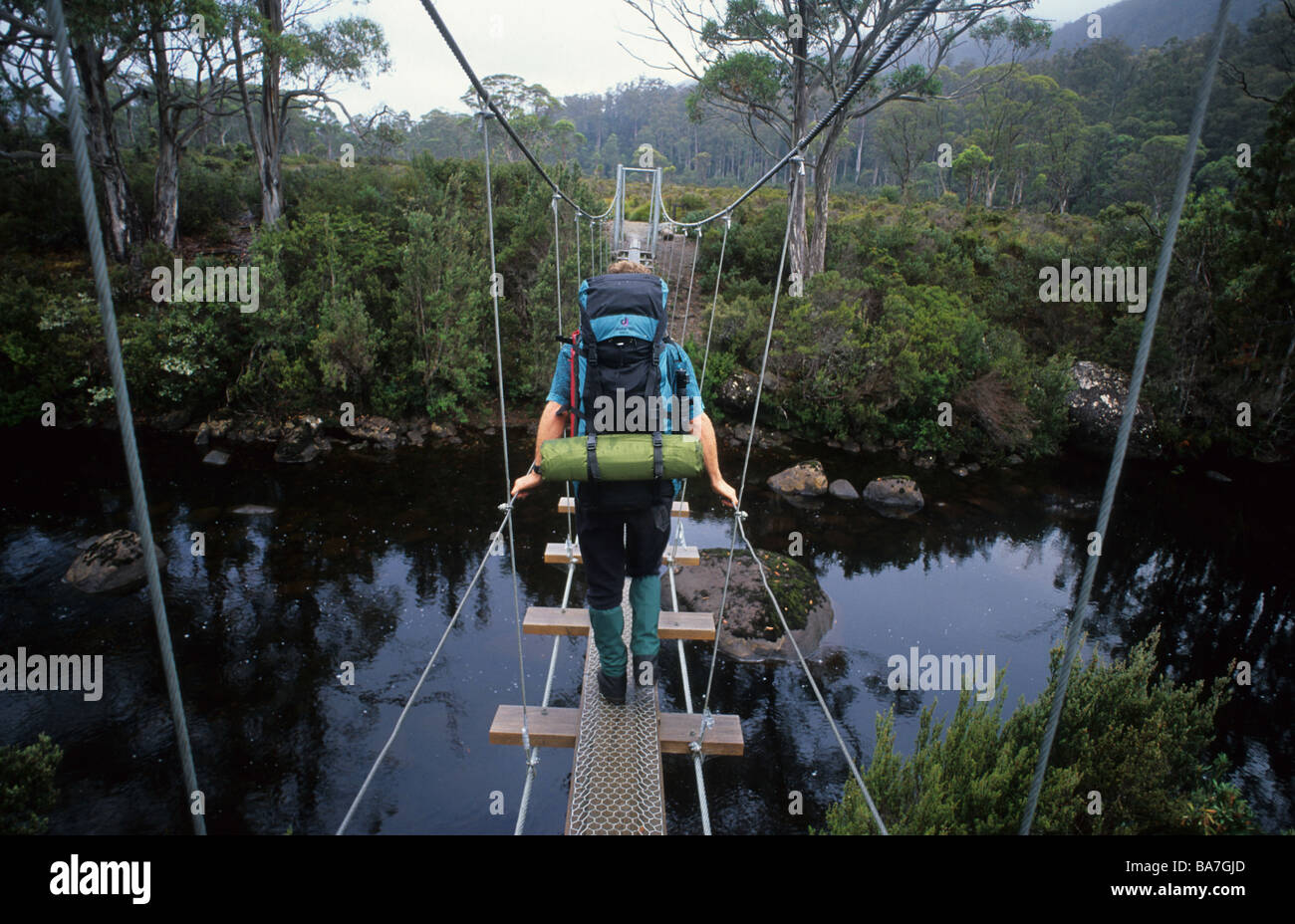 Hiker walking over rope bridge over the Narcissus River, Cradle ...