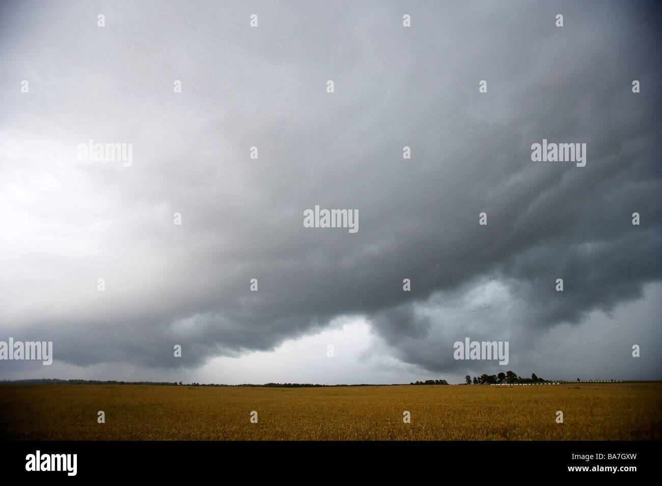 Courland hi-res stock photography and images - Alamy