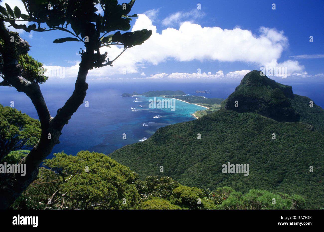 View from the top of Mt. Gower, Mt. Lidgbird left Stock Photo - Alamy