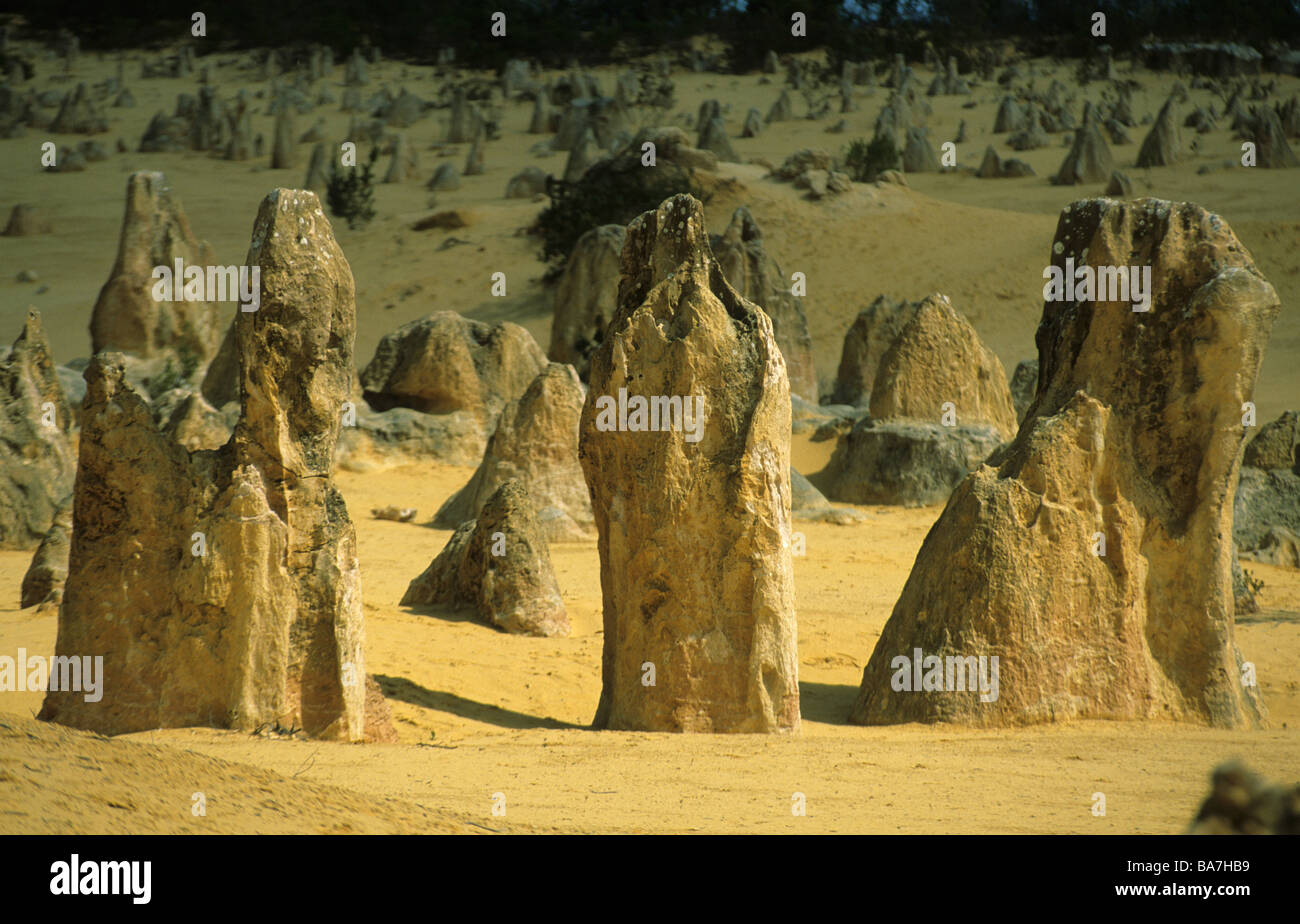 Nambung nat hi-res stock photography and images - Alamy
