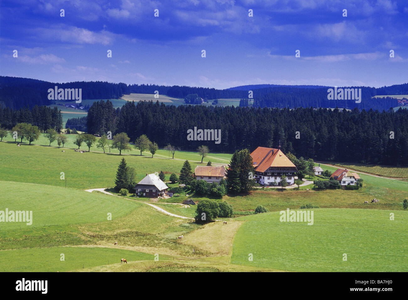 Typical house, farm in the Black Forest, Furtwangen, Black Forest ...