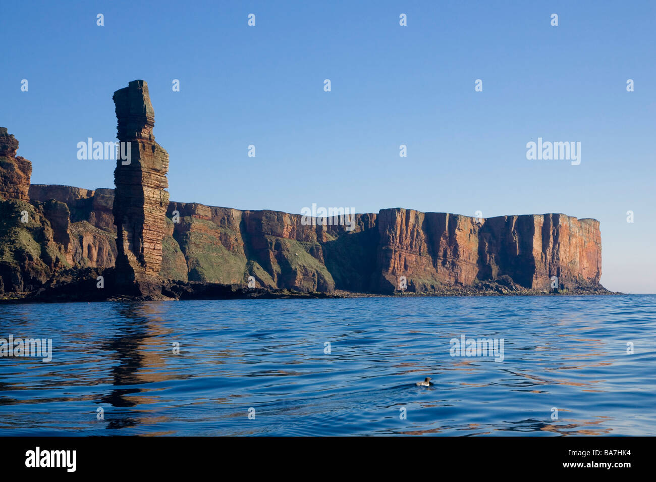 The rock tower, column, Old Man of Hoy, on the coast of the Island Hoy ...