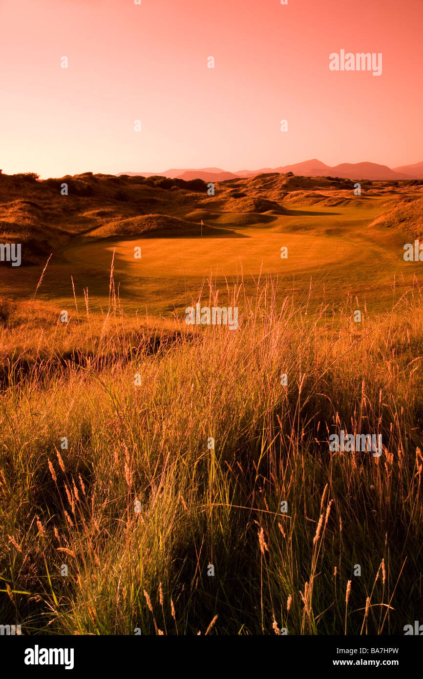 Harlech Golf Course High Resolution Stock Photography and Images - Alamy